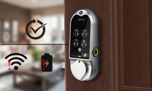 Smart Gate Lock | Xingyetongblog